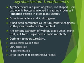 Agrobacterium mediated gene transfer | PPTX