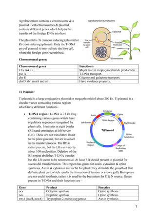 Agrobacterium mediated gene transfer - LIKE NEVER BEFORE!! | PDF