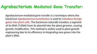 Agrobacterium Mediated Gene Transfer.pptx
