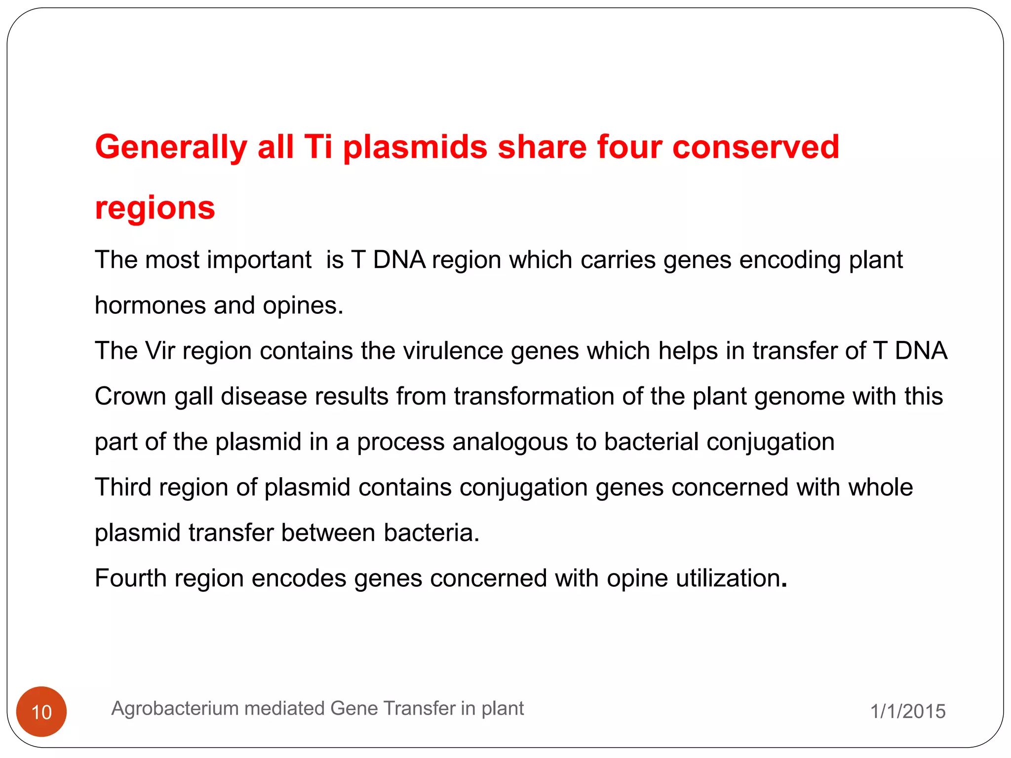 Agrobacterium mediated gene transfer in plants. | PPTX