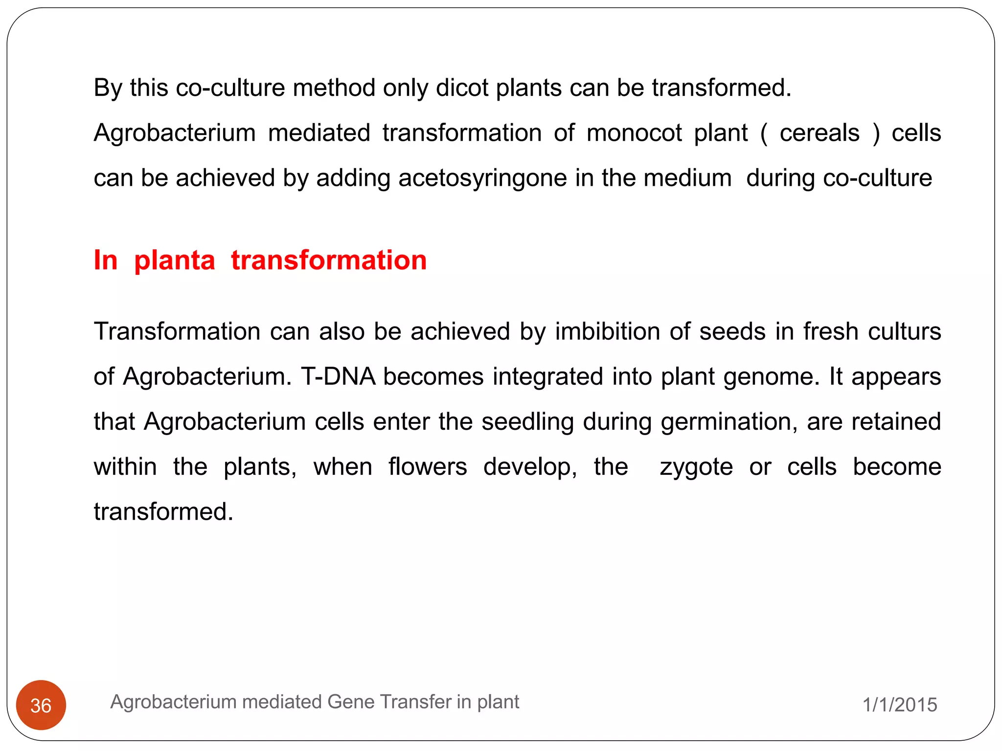 Agrobacterium mediated gene transfer in plants. | PPTX