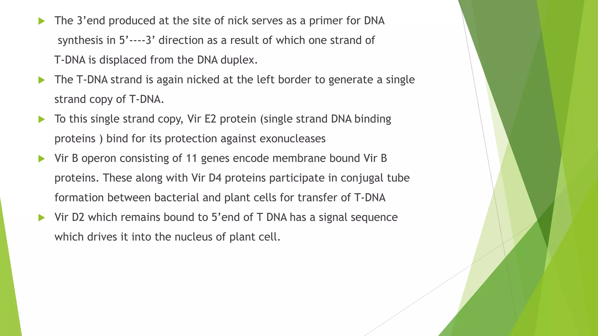 Agrobacterium mediated gene transfer in plants | PPTX