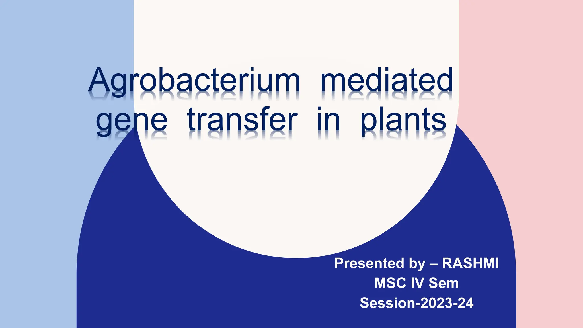Agrobacterium mediated gene transfer in plants by rashmi.pptx
