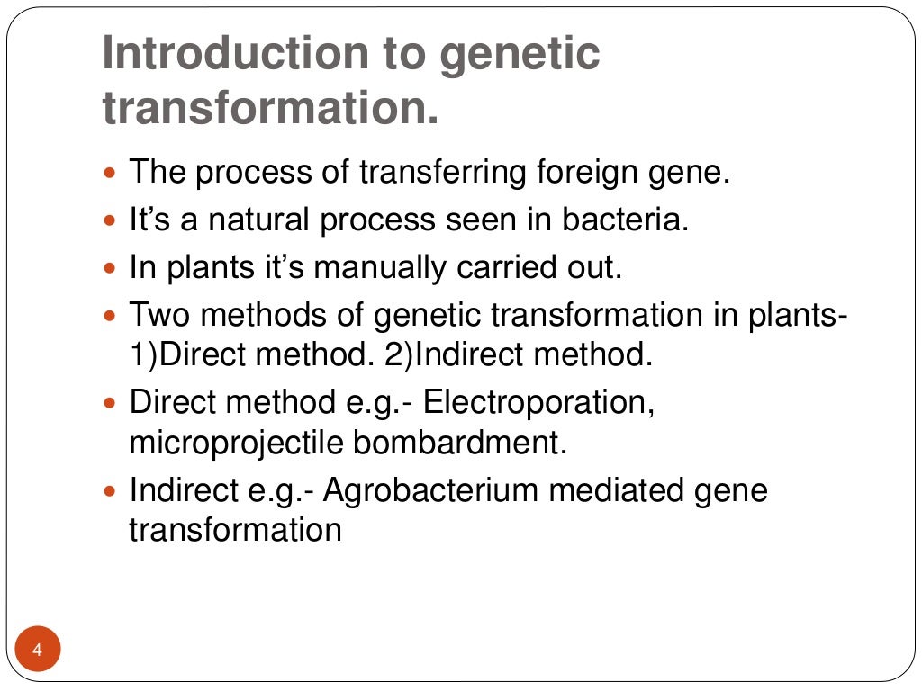 Agrobacterium mediated gene transformation