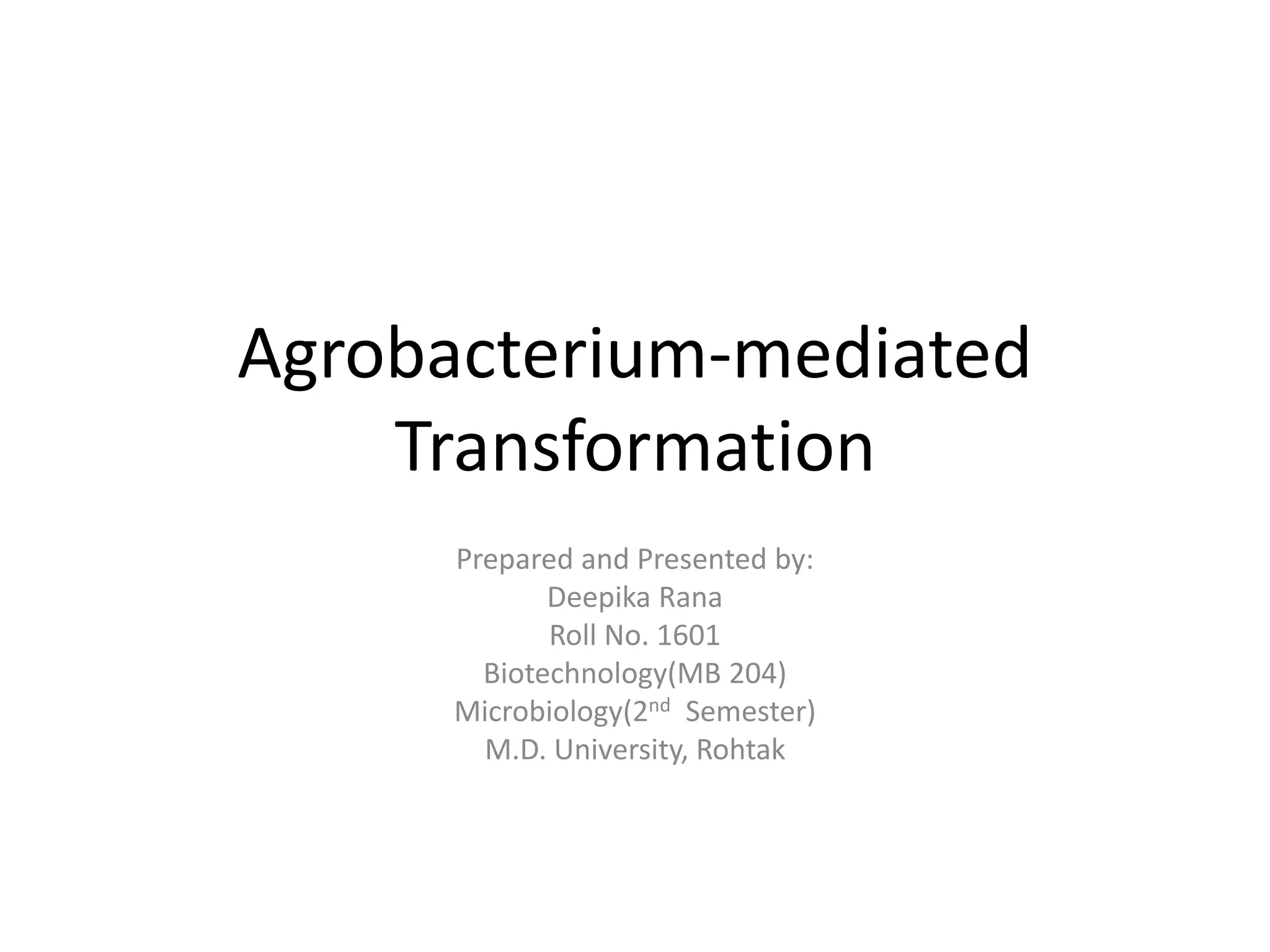Agrobacterium mediated transformation | PPTX