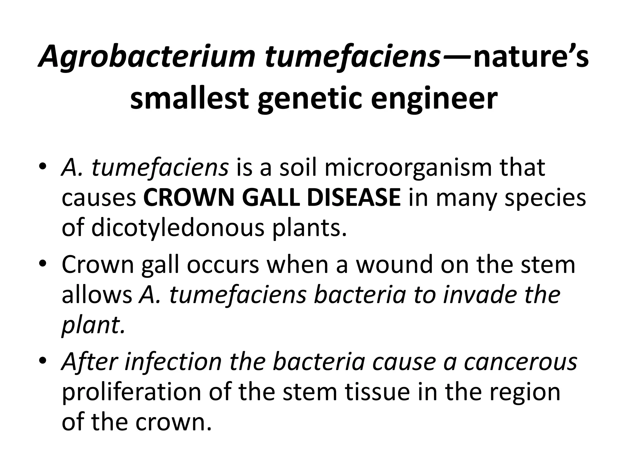Agrobacterium Mediated Transformation Pptx
