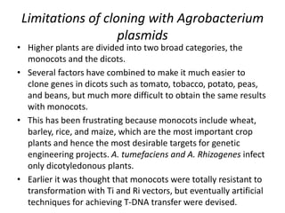 Agrobacterium mediated transformation | PPTX