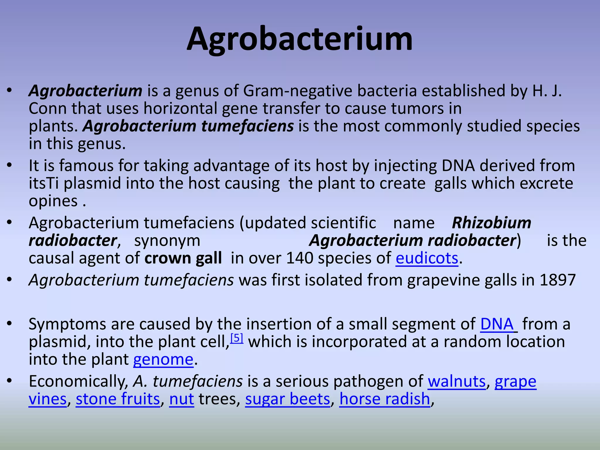 Agrobacterium presentation | PPTX