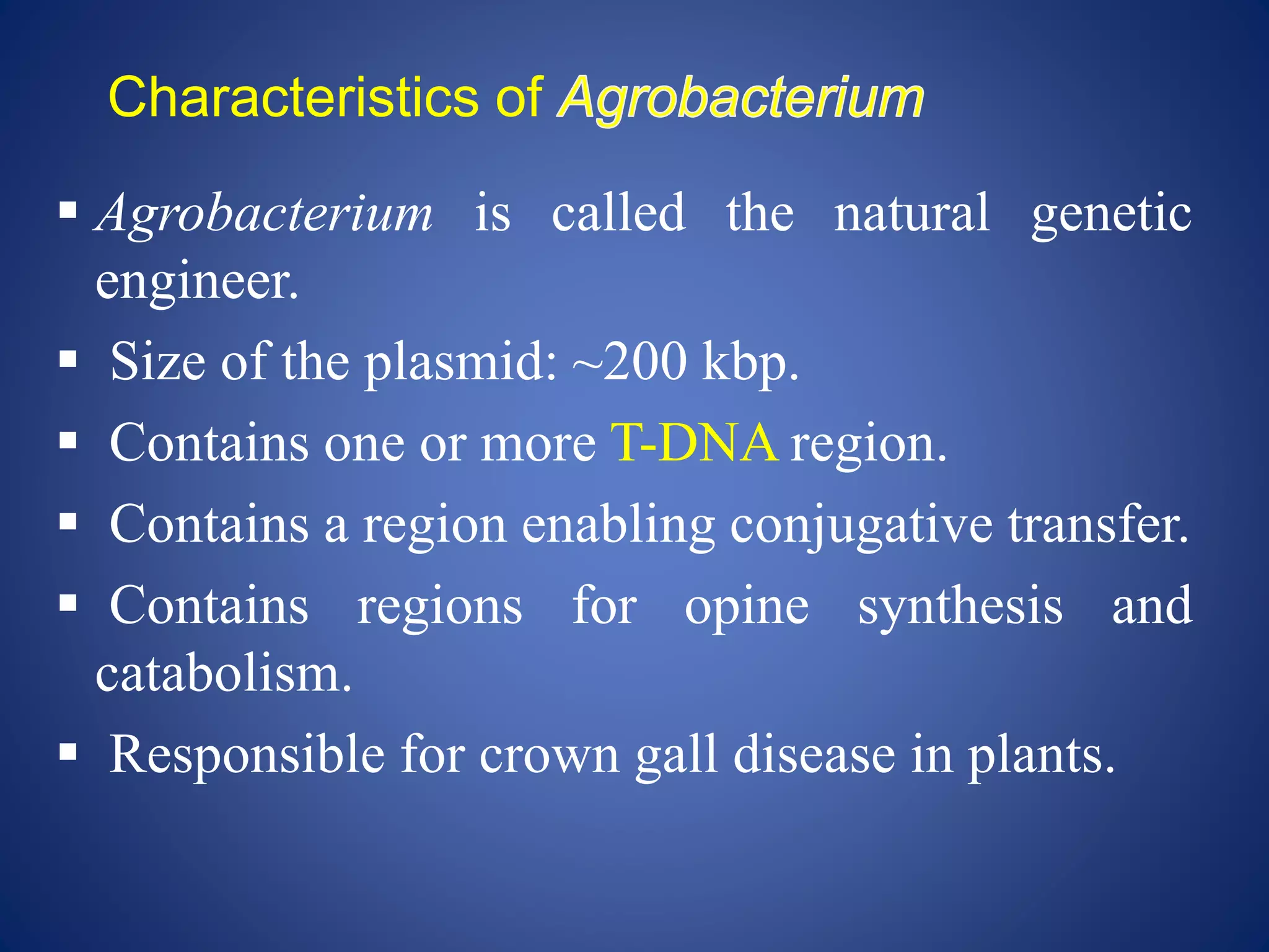 ROLE OF Agrobacterium in plant pathology | PPT | Free Download