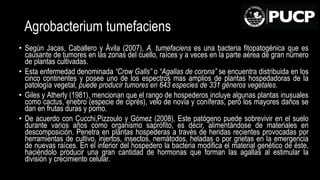 Agrobacterium t. | PPTX