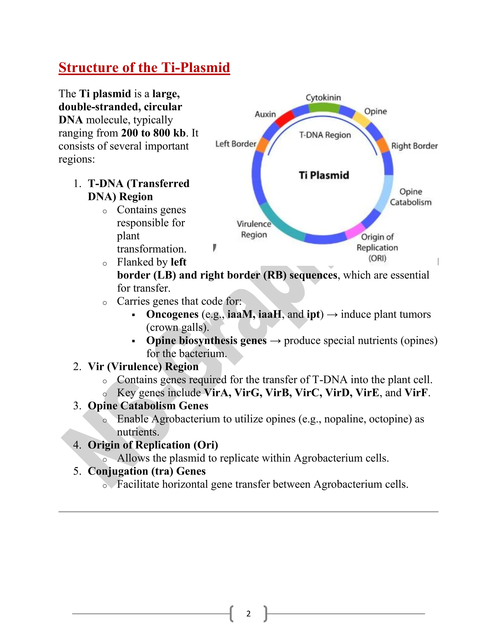Agrobacterium Ti-Plasmid Transfer for Biotechnology & Botany Sem-5 | PDF