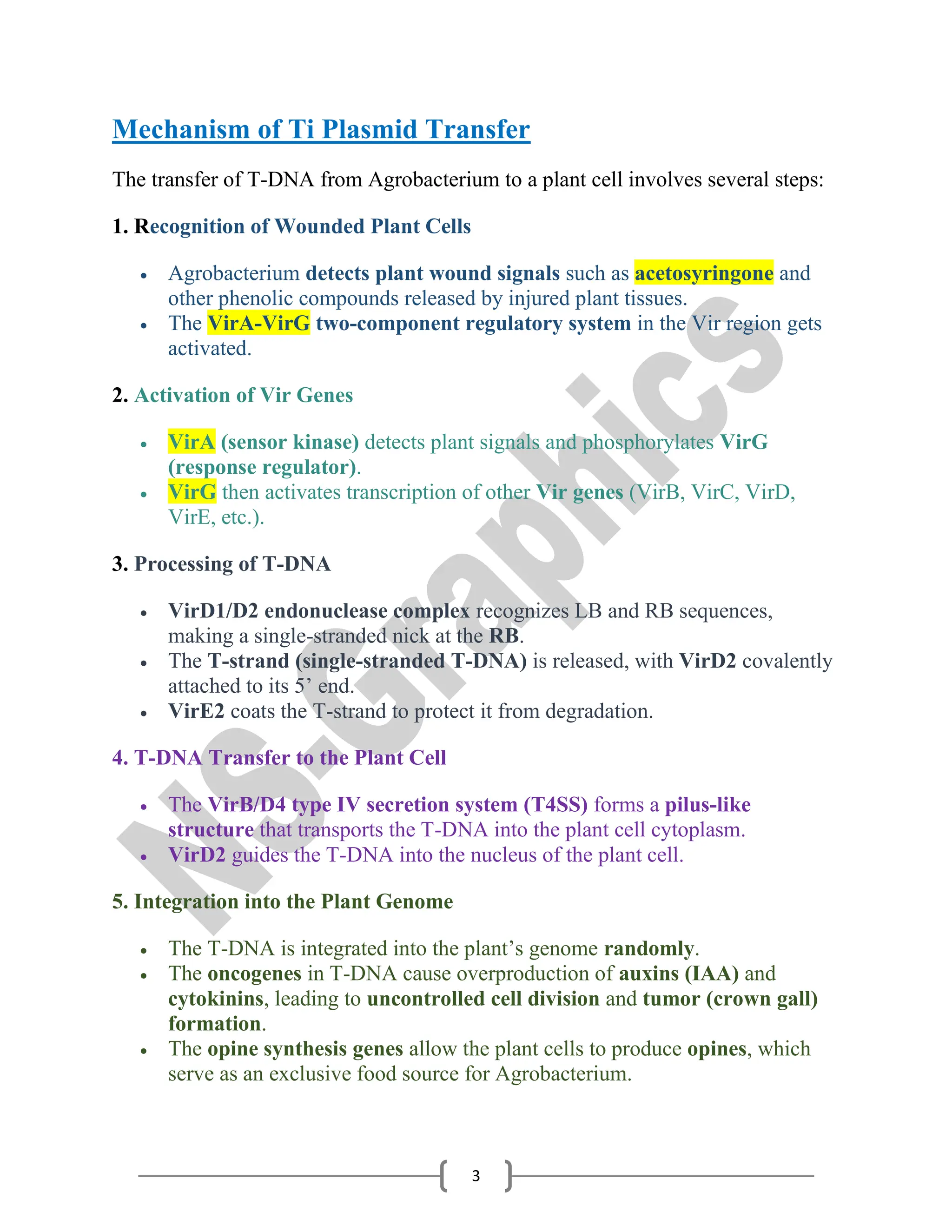 Agrobacterium Ti-Plasmid Transfer for Biotechnology & Botany Sem-5 | PDF