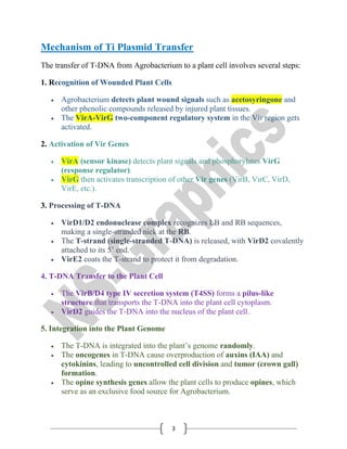 Agrobacterium Ti-Plasmid Transfer for Biotechnology & Botany Sem-5 | PDF