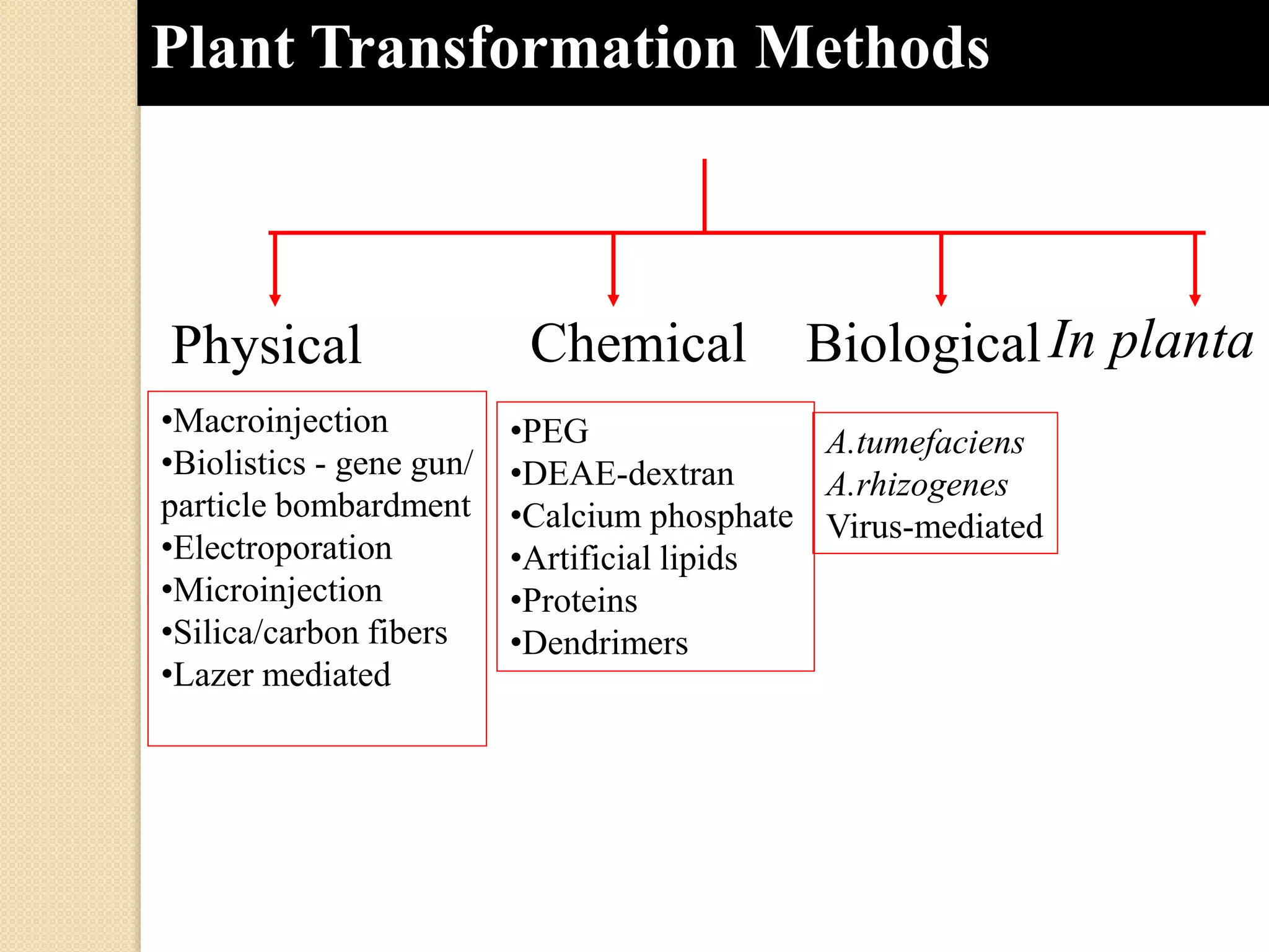 Agrobacterium mediated transformation, its mode of action and ...