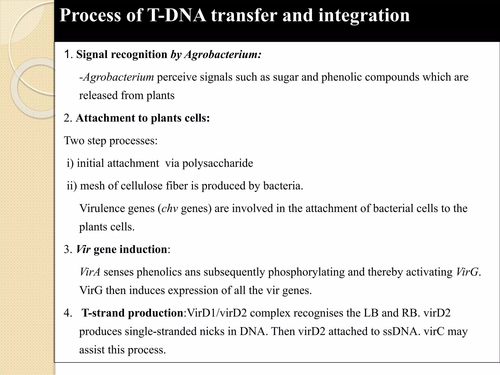 Agrobacterium mediated transformation, its mode of action and ...