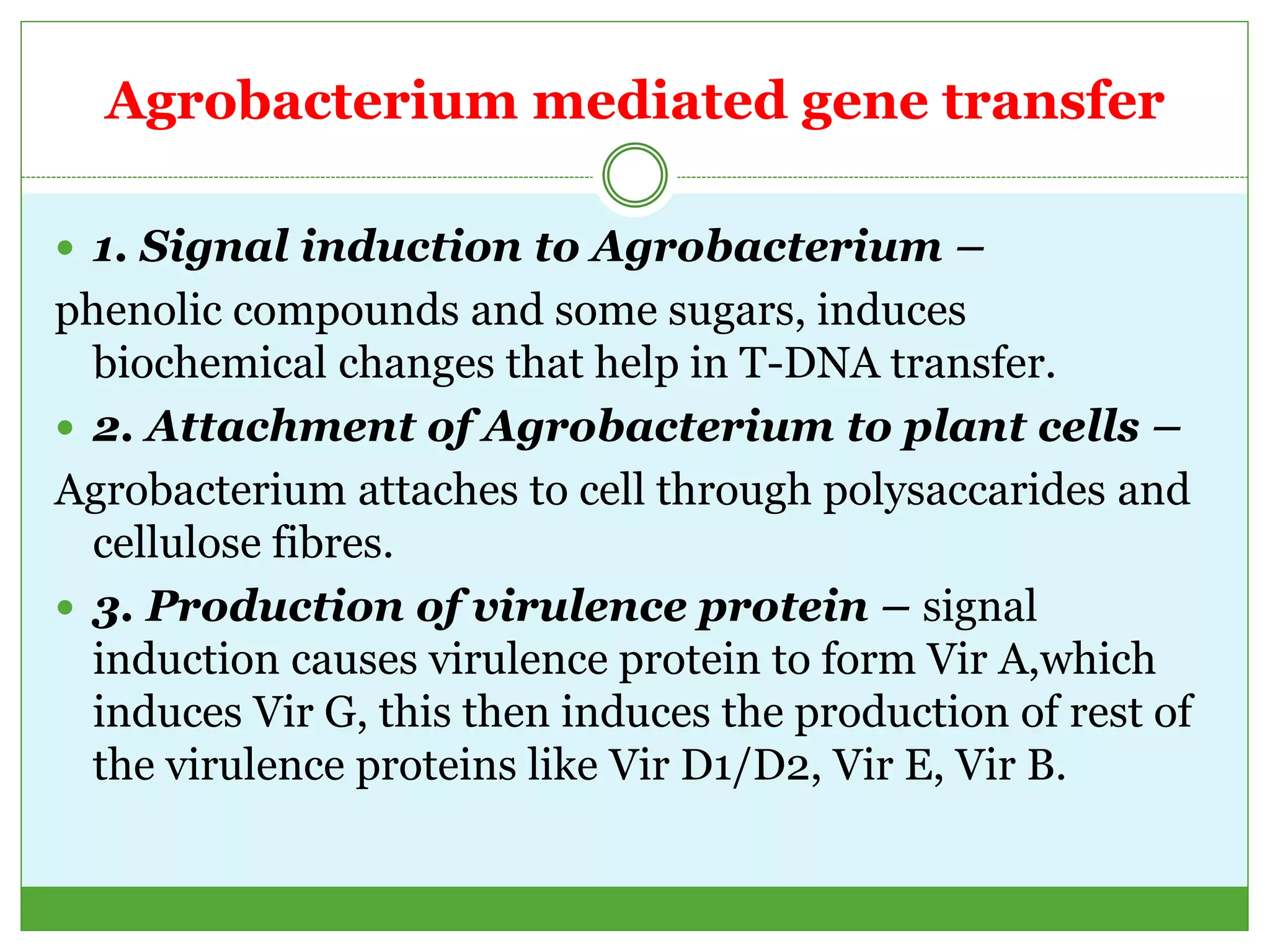 Agrobacterium tumefaciens mediated gene transfer | PPTX