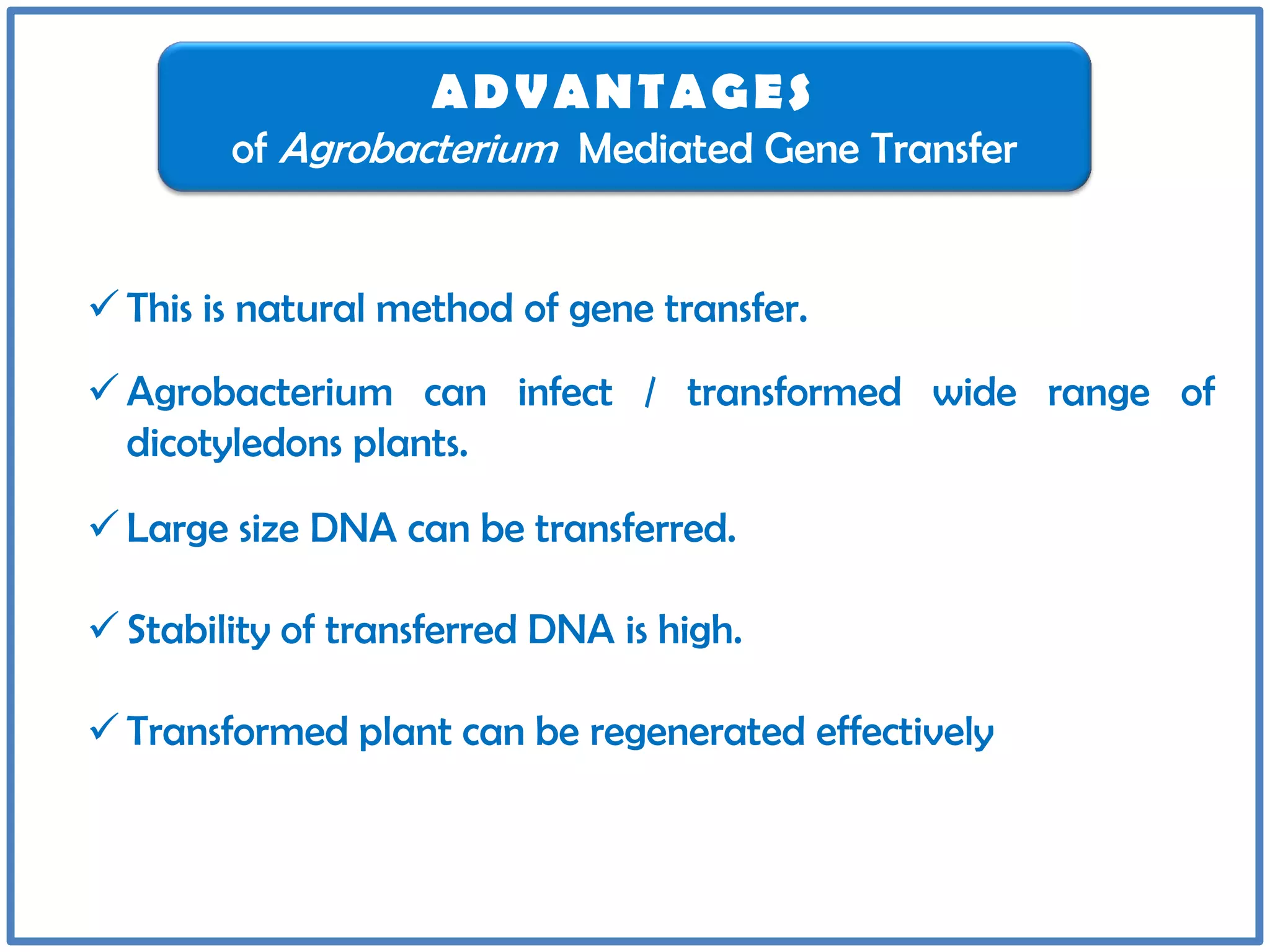 Agrobacterium MEDIATED GENE TRANSFER | PDF