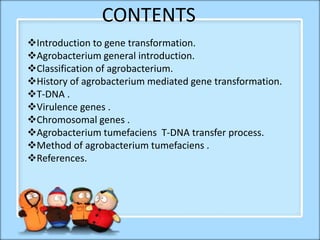 Agrobactirium mediated gene transfer | PPTX