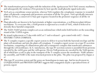 Agrobactreium nature’s genetic engineer | PPT
