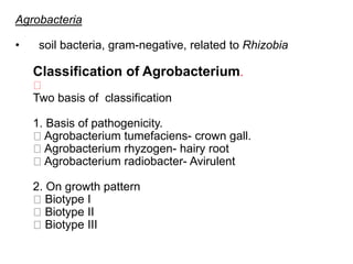 Agrobact transfer.pptx