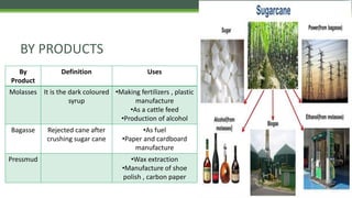 Agro based industry | PPTX