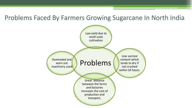 Agro based industry | PPTX | Agriculture | Industries