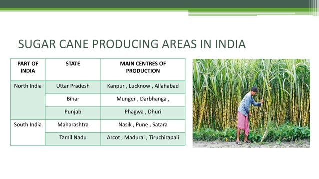 Agro based industry | PPTX | Agriculture | Industries