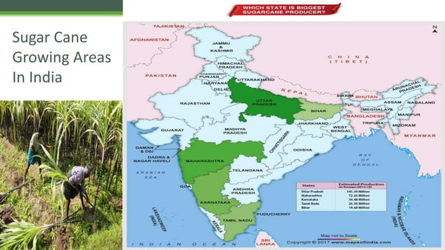 Agro based industry | PPTX | Agriculture | Industries