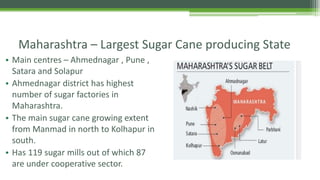 Agro based industry | PPTX