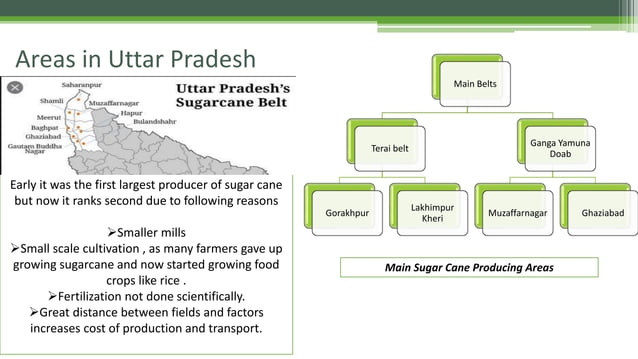 Agro based industry | PPTX | Agriculture | Industries
