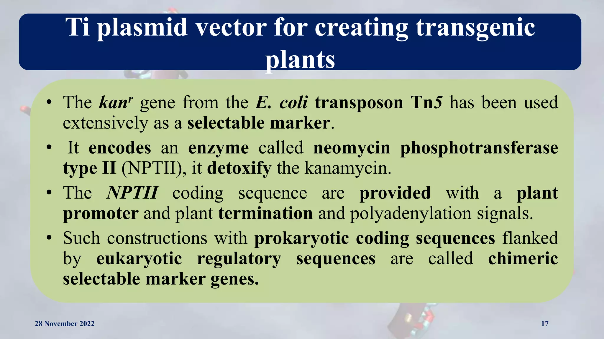 AGROBATERIUM MEDIATED GENE TRANSFER | PPTX