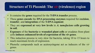 AGROBATERIUM MEDIATED GENE TRANSFER | PPTX