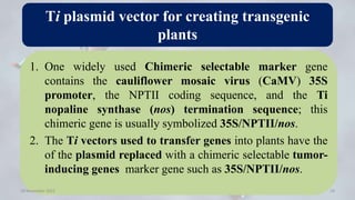 AGROBATERIUM MEDIATED GENE TRANSFER | PPTX