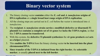 AGROBATERIUM MEDIATED GENE TRANSFER | PPTX