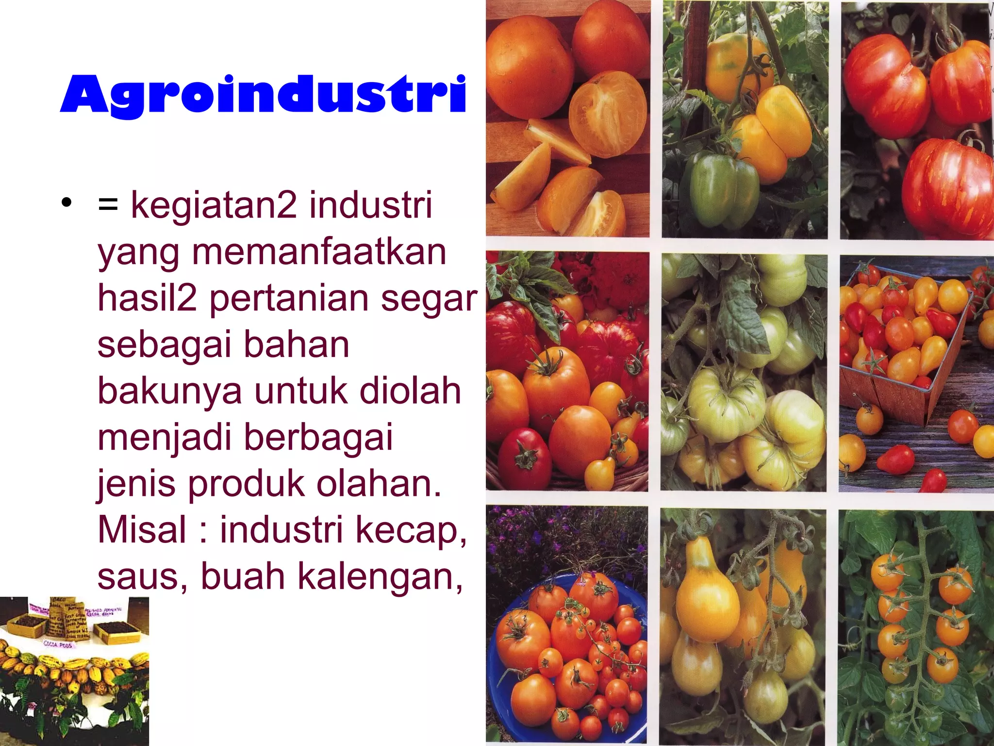 Agrobisnis&agroindustri.ppt -bahan kuliah pip 6-------- | PPT