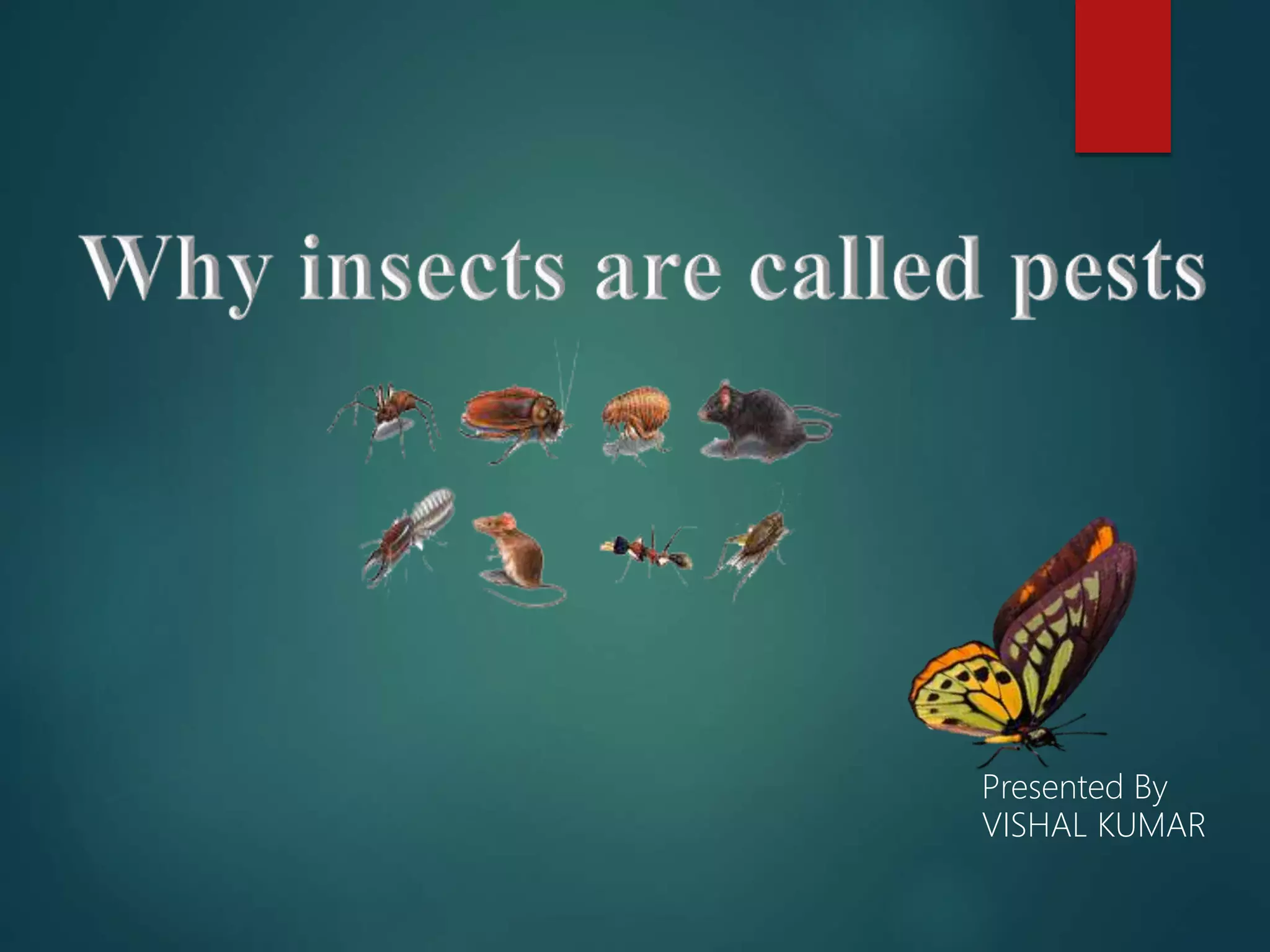 Why insects are called pests | PPT