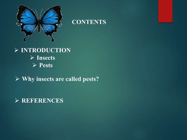Why insects are called pests | PPT