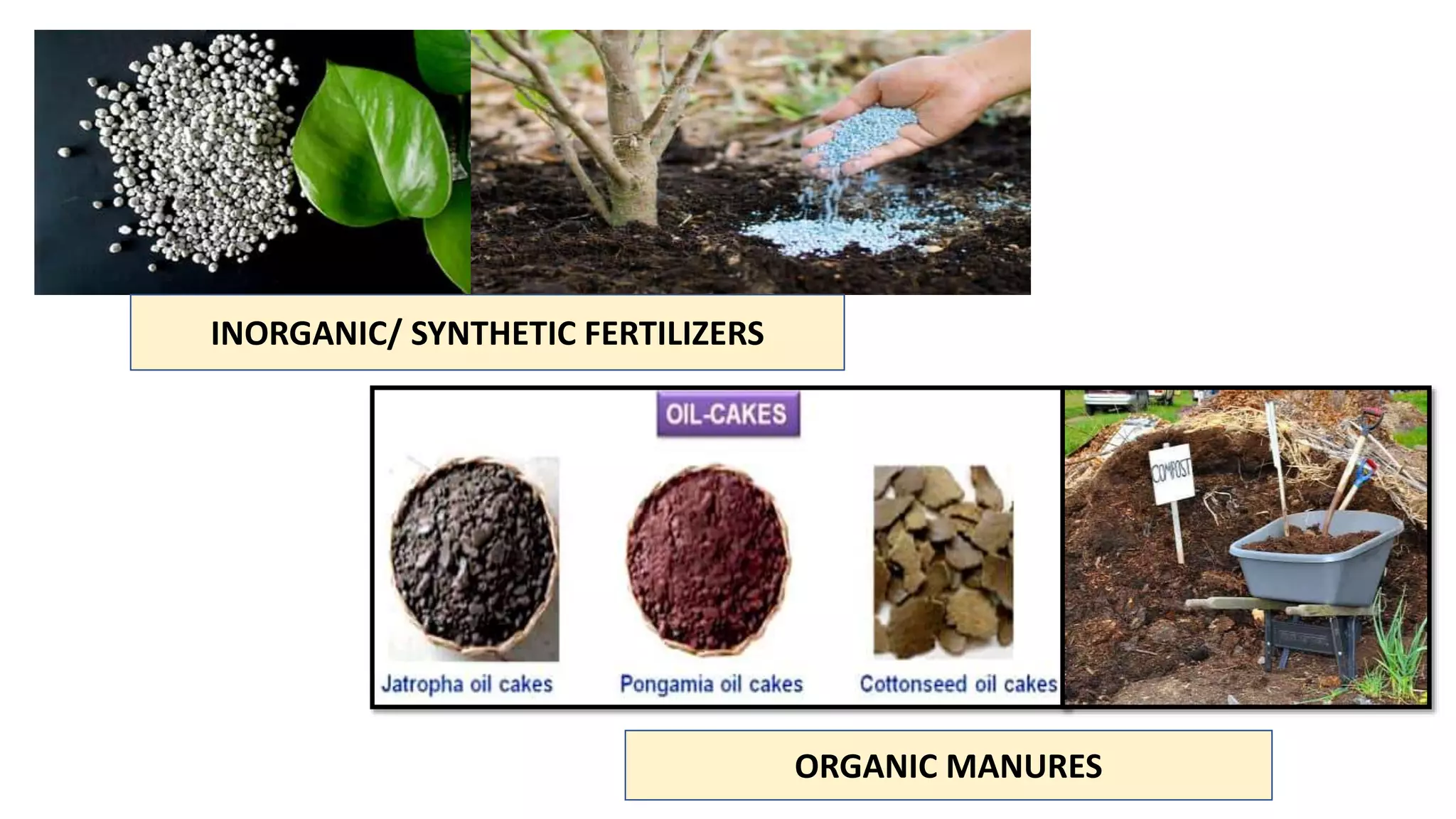 Importance of agricultural chemicals and their role in farming ...