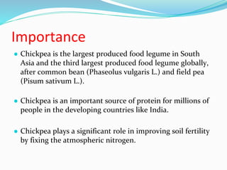 Agro chick pea seed production presentation | PPTX