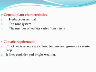 Agro chick pea seed production presentation | PPTX