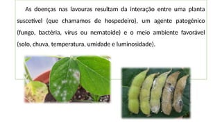 Agroecologia e meio ambiente Aula 3.pptx