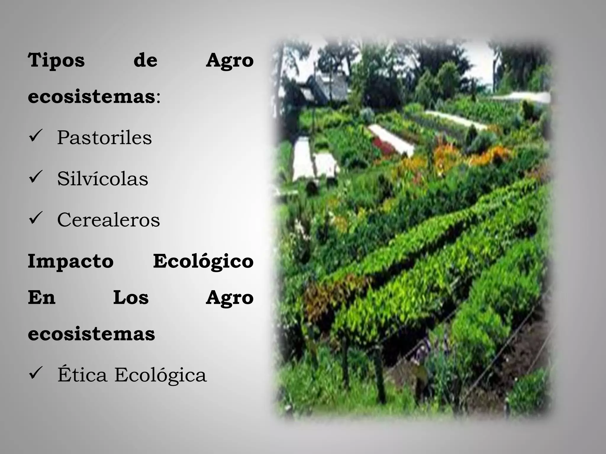Agroecologia,ecosistemas,agroecosistemas y agricultura ecologica | PPTX