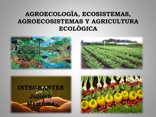 Agroecologia,ecosistemas,agroecosistemas y agricultura ecologica | PPT