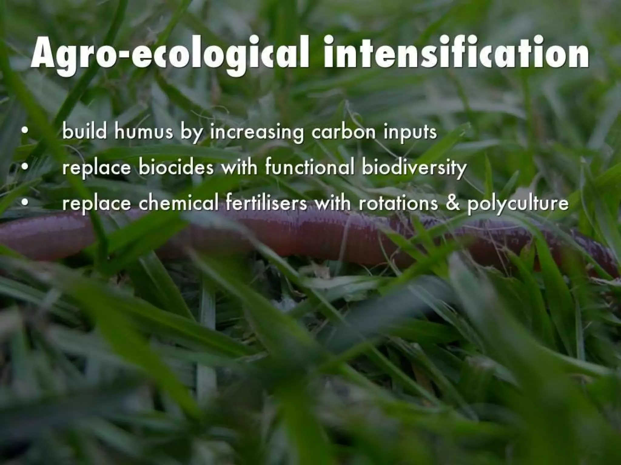 Agroecology | PPTX