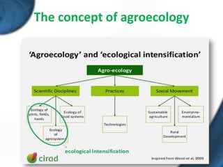 Agroecology | PPTX