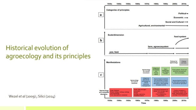 Agroecology for sustainability in vegetable crops .pptx