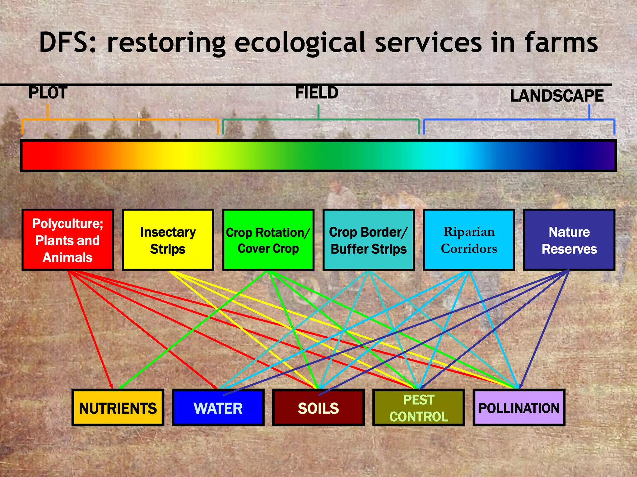 Agroecology: Principles and Practices | PPTX