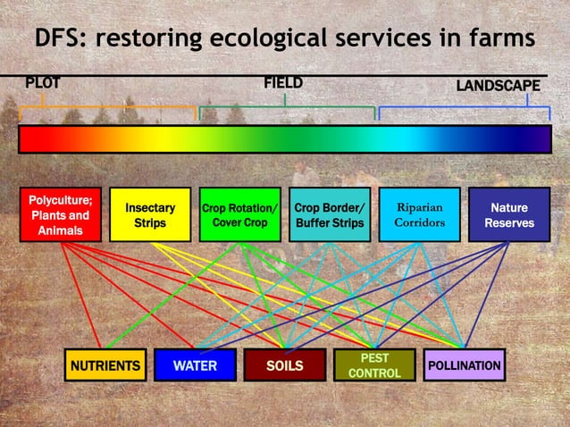 Agroecology: Principles and Practices | PPTX