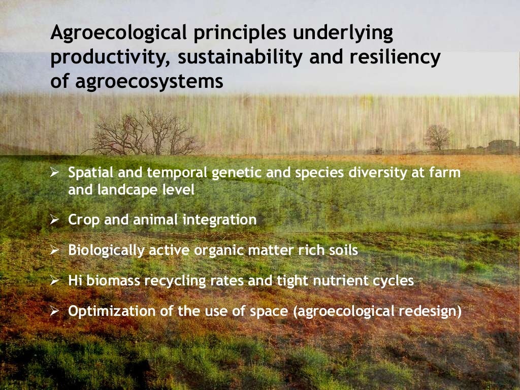 Agroecology: Principles and Practices