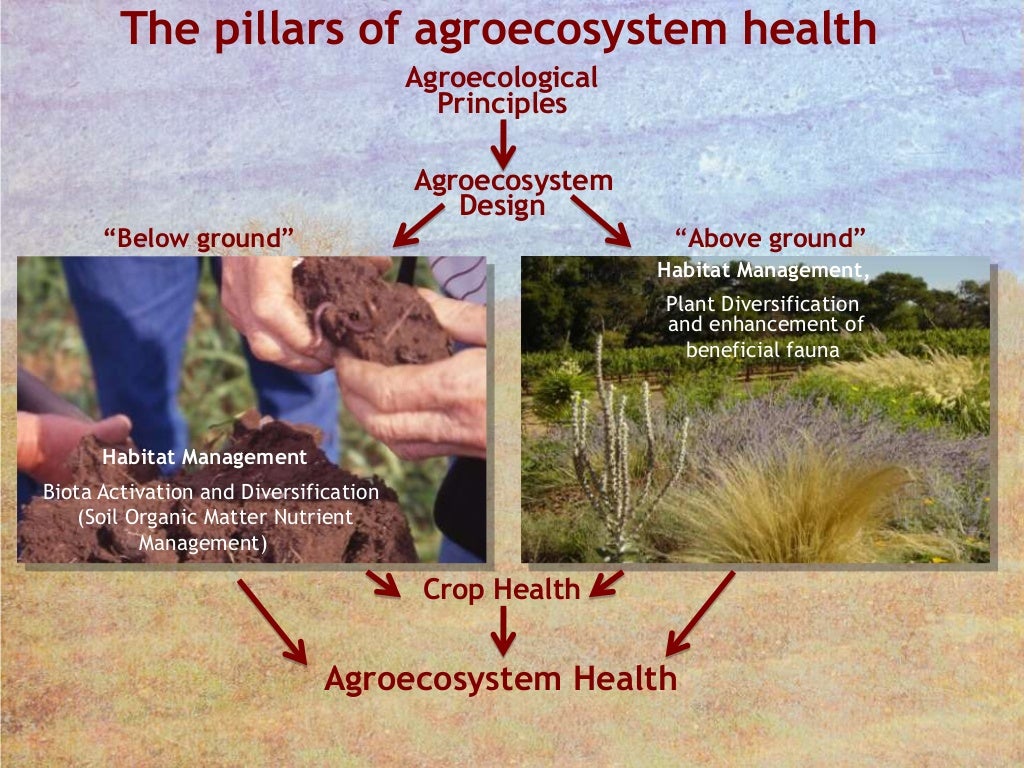 Agroecology: Principles and Practices